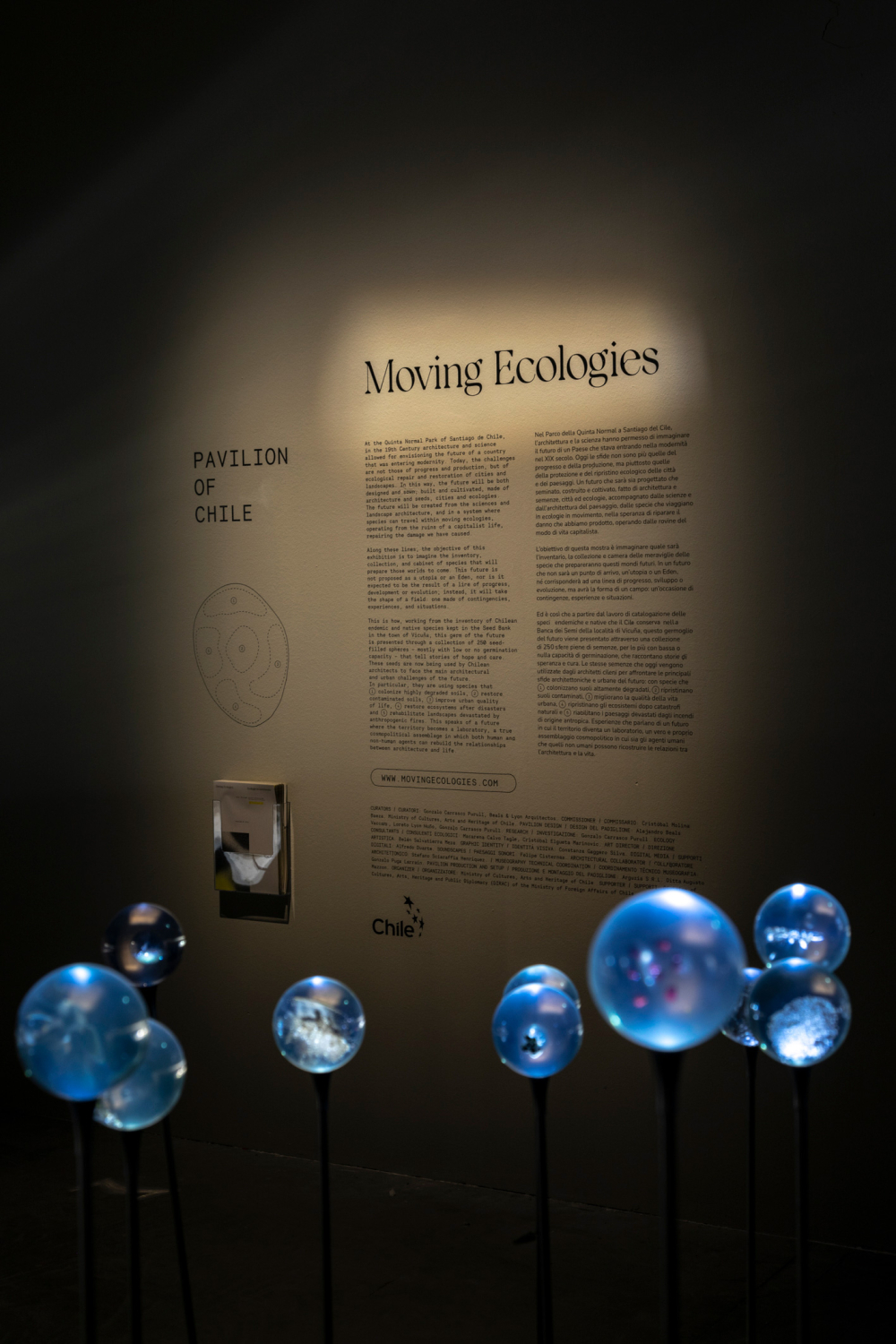 Reflecting on Venice Architecture Biennale