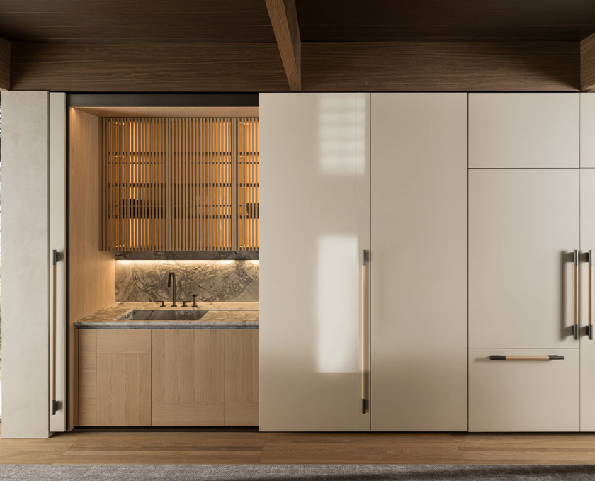 Collezione Kitchens Molteni&C: modelli e complementi